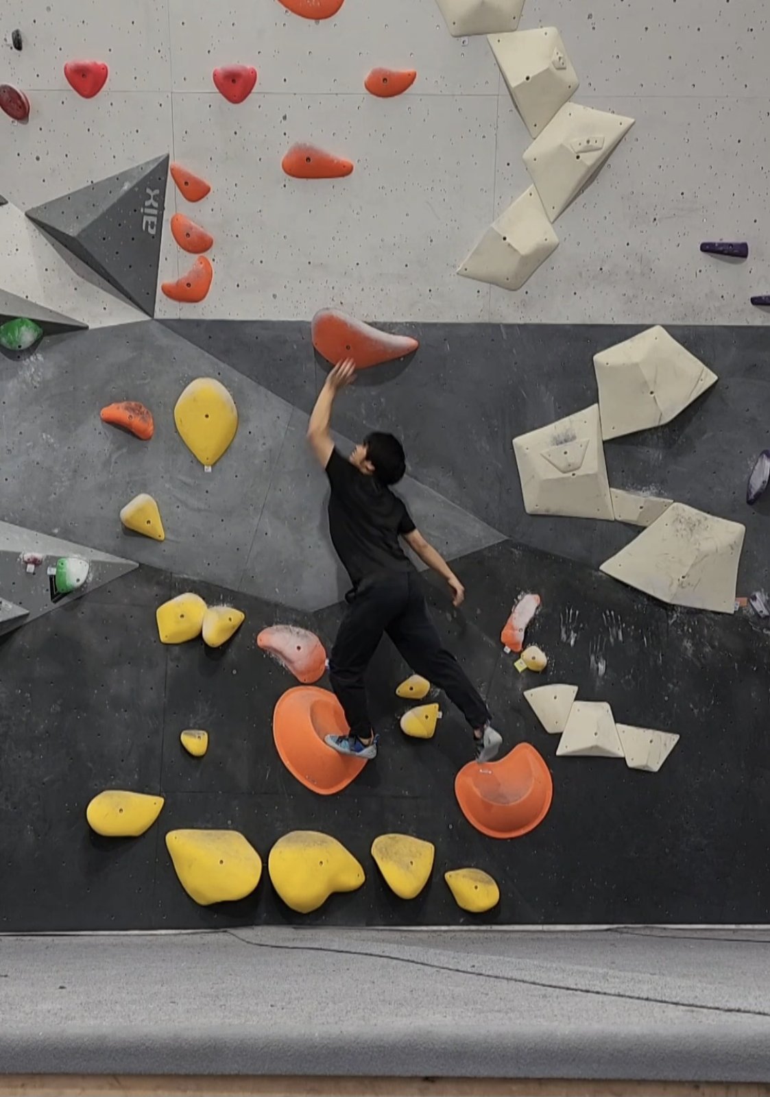 Rinta Toyoda - Full-Stack Engineer